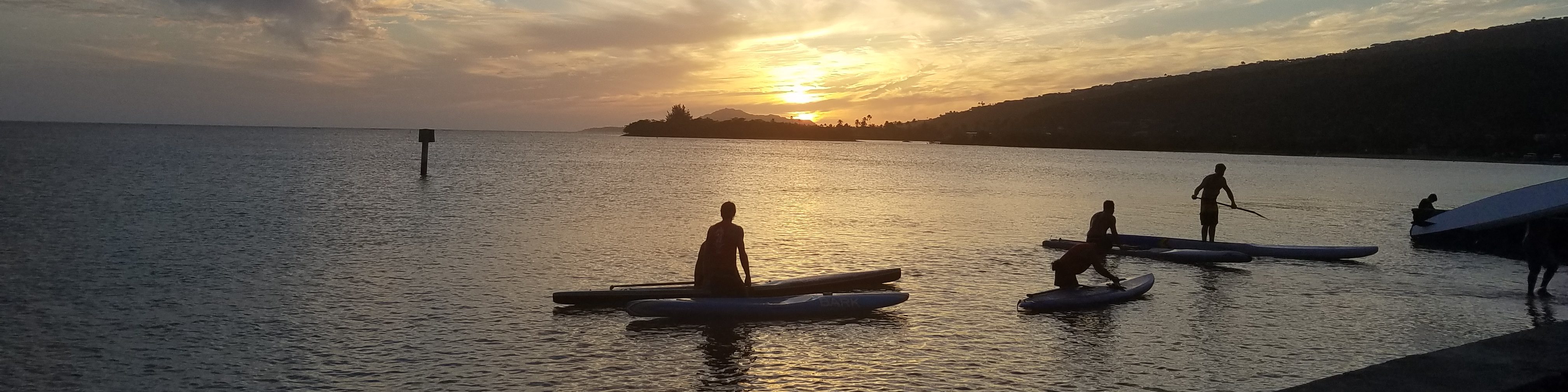 Looking back at 2018 - Simply Alex