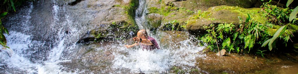 Moss Slides - Simply Alex