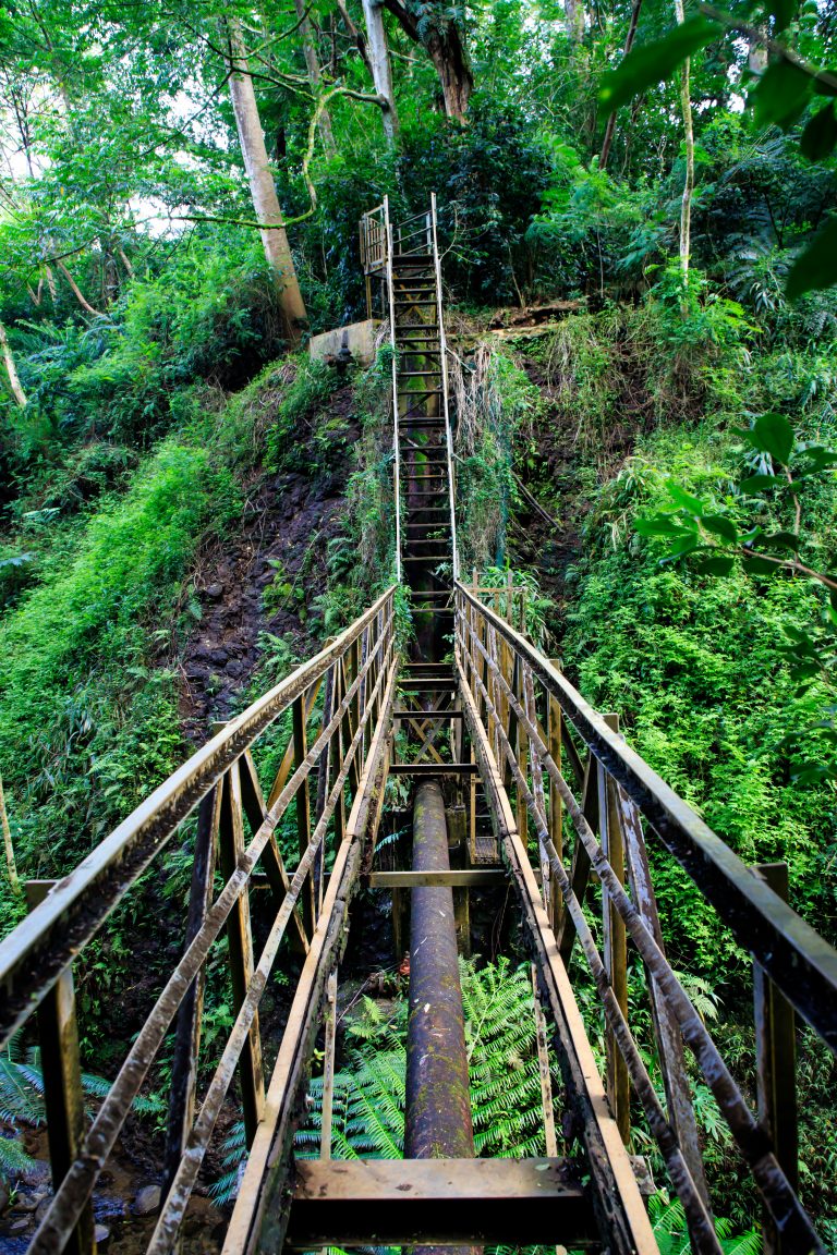 Moss Slides - Simply Alex