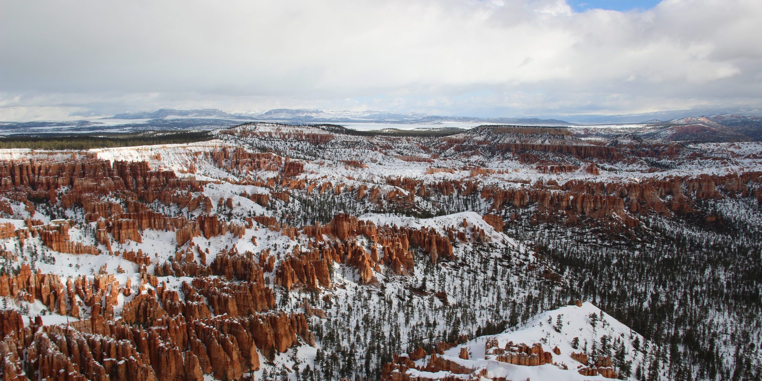Bryce in the Snow - Simply Alex