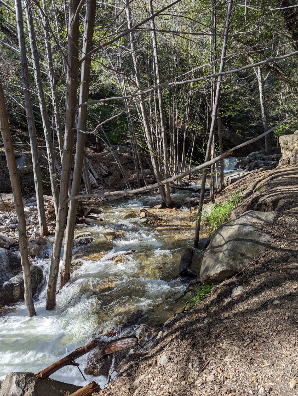 Millard Canyon Falls: The Perfect Short Waterfall Hike In LA - Simply Alex